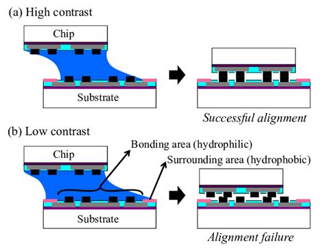 A Schematic Of Chip Self Assembly Phenomena When Wettability Contrast