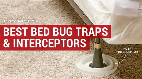 how does a bed bug interceptor work at duncan norris blog