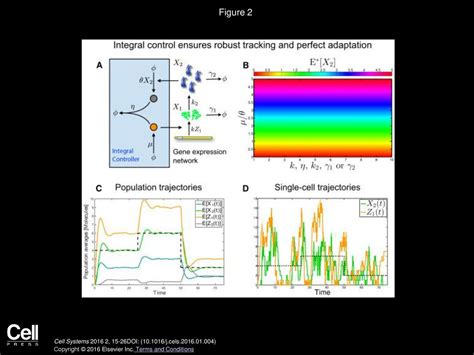 Corentin Briat Ankit Gupta Mustafa Khammash Cell Systems Ppt Download