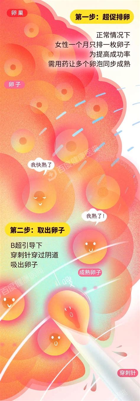 試管嬰兒和自然懷孕，生下的小孩有區別嗎？ 壹讀