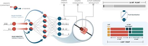 Positcl Compact Continual Learning With Posit Aware Quantization