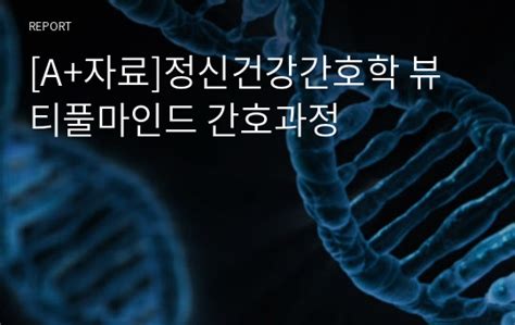 A자료 정신건강간호학 뷰티풀마인드 간호과정 레포트