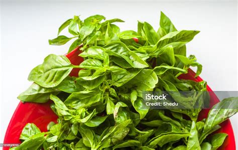 신선한 녹색 바질 잎은 건강한 요리 허브와 나무 도마에 향신료 클로즈업 건강관리와 의술에 대한 스톡 사진 및 기타 이미지 건강관리와 의술 건강한 식생활 날것 Istock