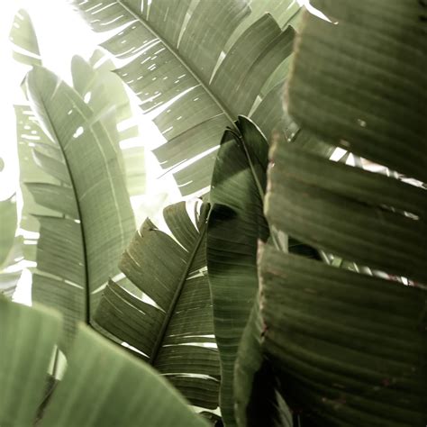 How To Install Ubuntu Vm In Proxmox A Beginners Guide Fogerlogtech