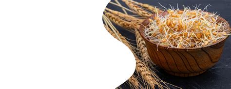 بایگانی‌های جوانه ها