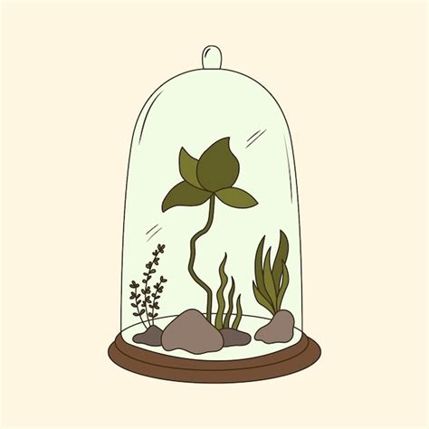 Premium Vector Hand Drawn Plants And Herbs Under Glass Cover Botany