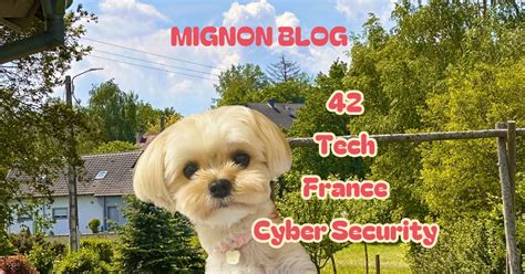 Main Mignon Blog