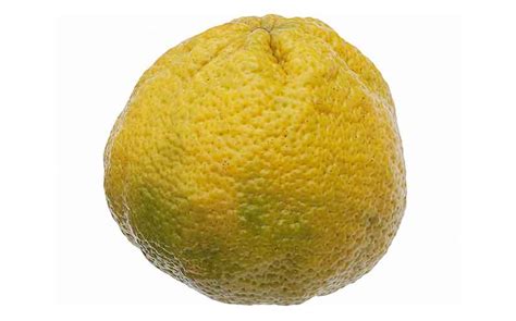 51 Types Of Fruit Nutrition Profiles And Health Benefits Nutrition