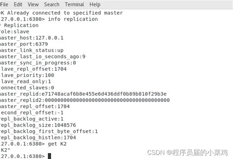 Redis主从复制redis 主节点负责写从节点负责读吗 Csdn博客
