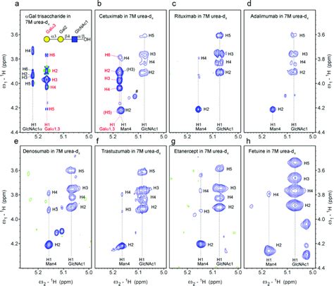 Characteristic Chemical Shift Correlations Of The α Gal Epitope Download Scientific Diagram