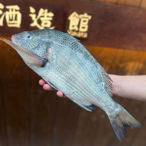 八丁堀居酒屋 公式中俣酒造館