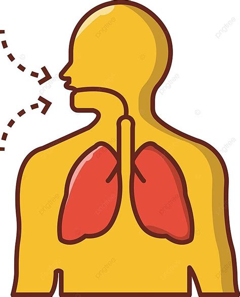 Lungs Respiration Medicine Care Vector Respiration Medicine Care Png