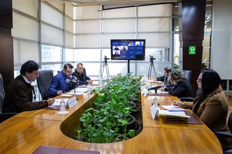 Ad Honorem Comisión Nacional De Los Derechos Humanos México