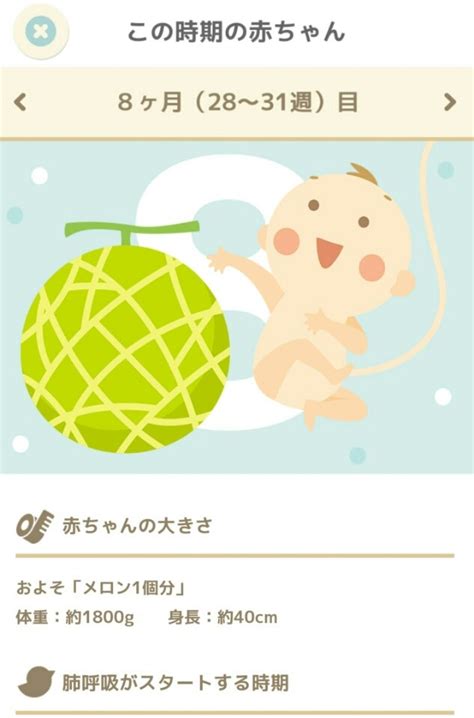 妊娠後期突入。体重とお腹写真。28週 Naokuronecoのブログ