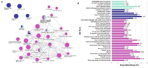 Enrichment Network Analysis A Risk Factors Enrichment Network In Download Scientific