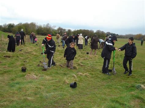 Tree Planting Activity In Hull Dialogue Society