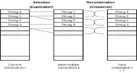 Selection Process In A Standard Genetic Algorithm Where Fit Download Scientific Diagram