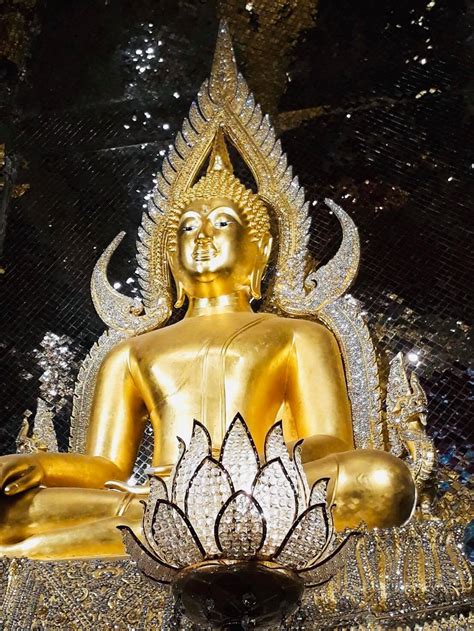 องค์สมเด็จพระพุทธสิขีทศพลที่ ๑ “กรรมบถ ๑๐ เตรียมทางเข้าสู่พระนิพพาน” สำหรับกรรมบถ ๑๐ ดูแล้ว