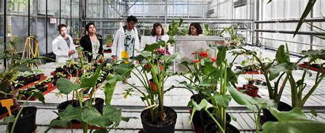 Facilitate Low Environmental Impact Mobility — Strategic Plan 2022 2027