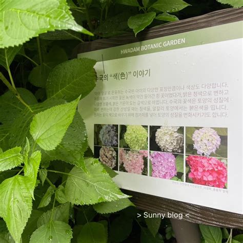 화담숲 화담숲 관람 방법 입장 시간 지도 코스 소개 입장요금 및 모노레일 가격 할인정보 스탬프 투어 이벤트