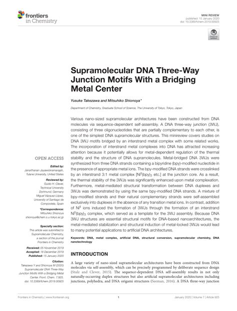 Pdf Supramolecular Dna Three Way Junction Motifs With A Bridging Metal Center
