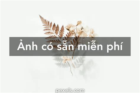 Bộ Sưu Tập Hình Ảnh Bìa Đẹp Cực Chất Full 4k Với Hơn 999 Mẫu