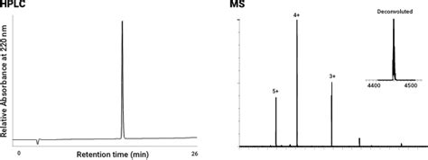 Custom Glycopeptide Synthesis Glytech Inc
