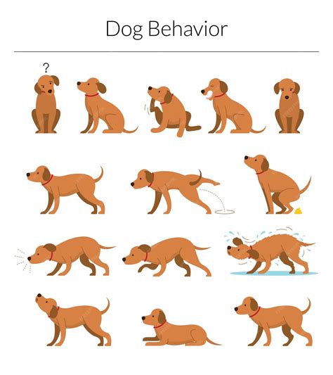 What Is Puppy Behavior