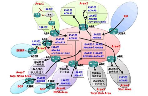 Ospf Lsa
