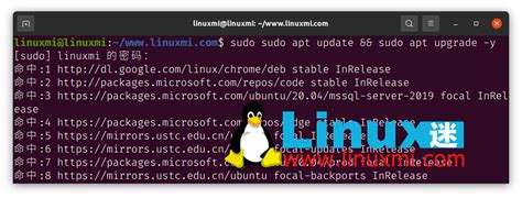如何在 ubuntu 20 04 上安装 mariadb 10 7 linux迷