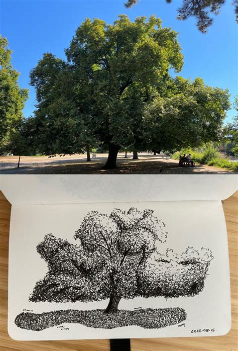 Trying To Add Ellipsis Three Dots Between Python String Input Rlearnpython