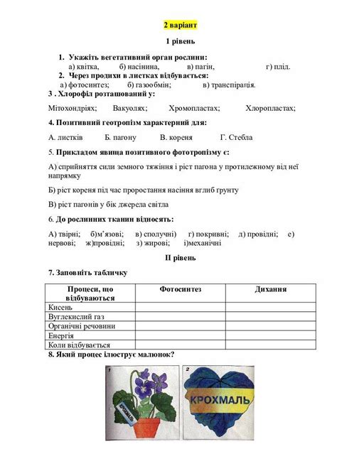 Контрольна робота з біології 6 клас Рослини Тест Біологія