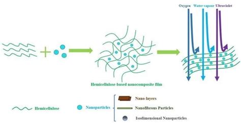 Research Progress In Hemicellulose Based Nanocomposite Film As Food