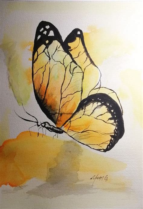 Acuarela Mariposa Monarca Ilustracion acuarela Dibujos botánicos