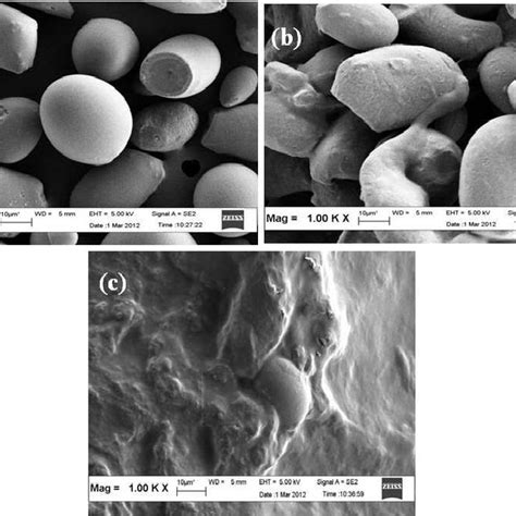 Pdf Preparations And Characterization Of Sago Starch Dispersion And Modification