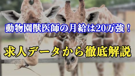 動物園獣医師の月給は20万強！求人データから年収・給料を徹底解説 僕のヴェットアカデミア