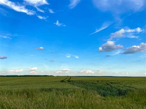 6 Steps To Know Before Buying Land In The Philippines