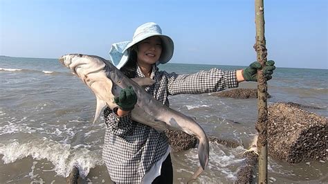 皮皮去赶海发现大货，这一条起码有二十几斤，抱不动还得扛起来走 Youtube