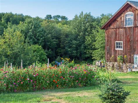 Building A Backyard Homestead 13 Ideas For Living Small Self