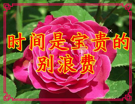 早上好一首《有你真好》送给最想念的人祝你开心每一天祝福