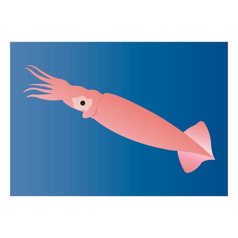 Squid Icon Illustration Design Template 46474211 Vector Art At Vecteezy