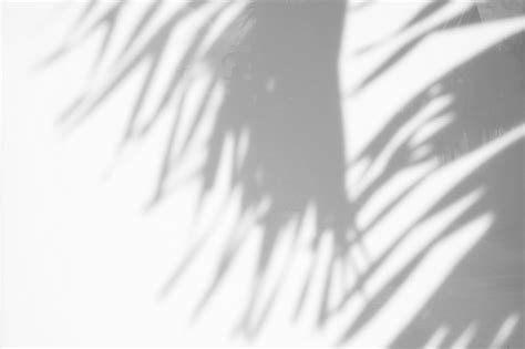 손바닥은 벽 질감 배경에 그림자를 남기고 제품 프레젠테이션 배경 디스플레이 및 모형에 적합합니다 0명에 대한 스톡 사진 및 기타 이미지 Istock