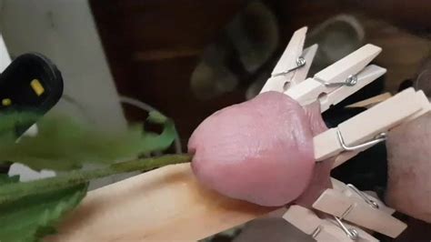 Cbt Nettles Play