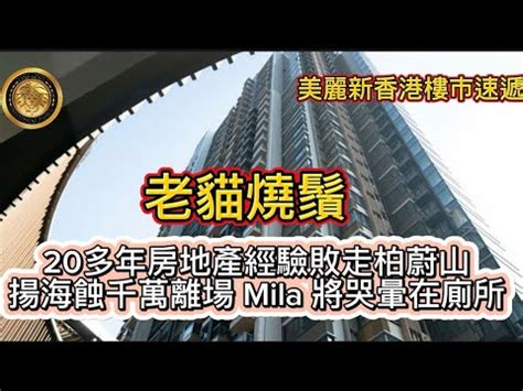 老貓燒鬚20多年房地產經驗敗走柏蔚山揚海蝕千萬離場Mila將哭暈在廁所差估署樓價指數4月報305 9點按月跌1 23 YouTube