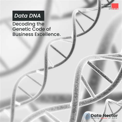 data nectar on linkedin datanectar businessexcellence