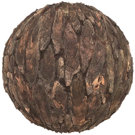 Realistic Tree Trunks Or Bark Texture Free Pbr Texturecan Realistic Tree Trunks Or Bark Texture Free Pbr Texturecan