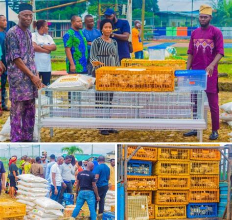 Nalda Poultry Empowerment Senator Abiru Distributes Free Chickens