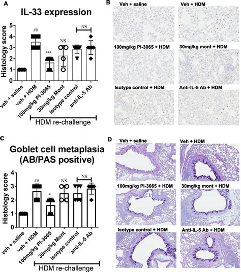 Effect Of Treatment On Il33 Expression And Goblet Cell Metaplasia