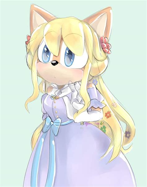More Practices Sonic The Hedgehog Amino