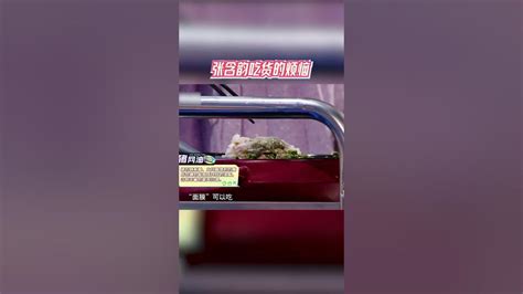 张含韵 吃货的烦恼~听说很好吃 爱豆星日常 Youtube